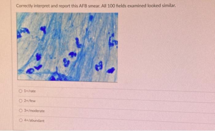 Correctly interpret and report this AFB smear. All | Chegg.com