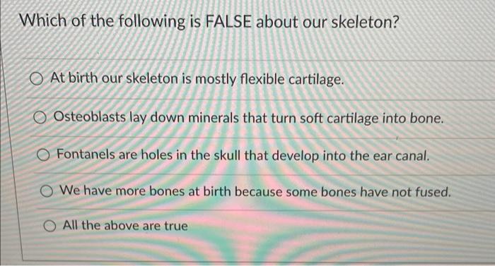 Solved Which of the following is FALSE about our skeleton? O | Chegg.com