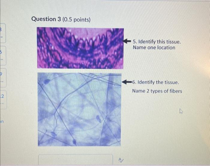 [Solved]: 5. Identify this tissue. Name one location 6. Ide