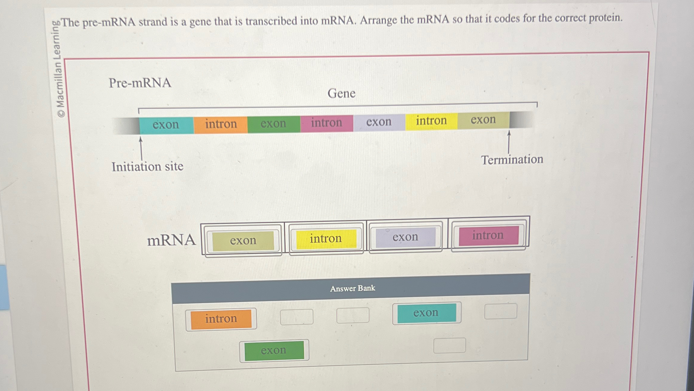 Solved Pre-mRNAGeneexon intron exon intron exon intron | Chegg.com