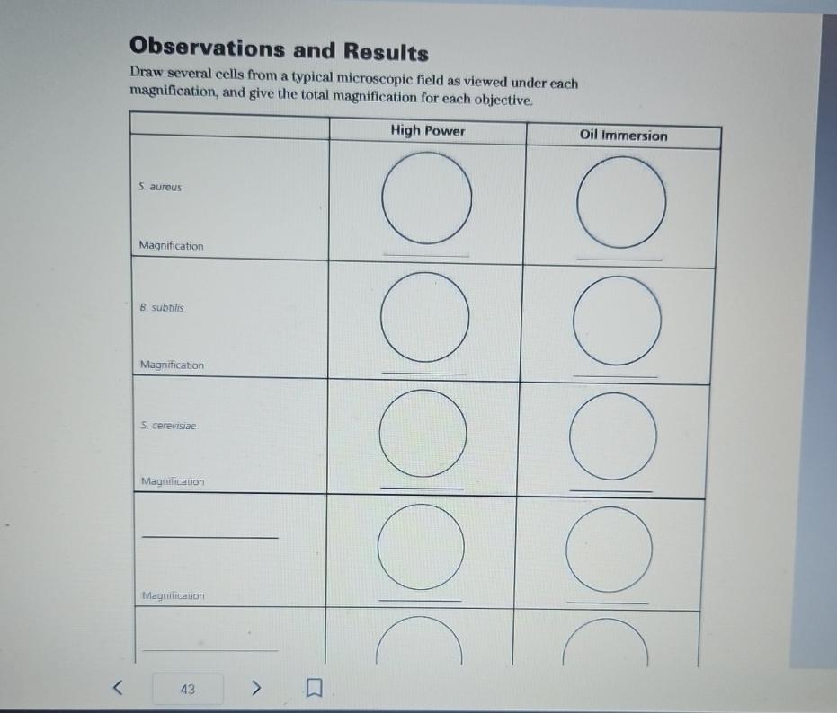 Solved Observations and ResultsDraw several cells from a | Chegg.com