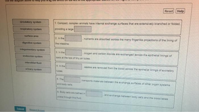 Solved Part A Drag the appropriate items to their respective | Chegg.com