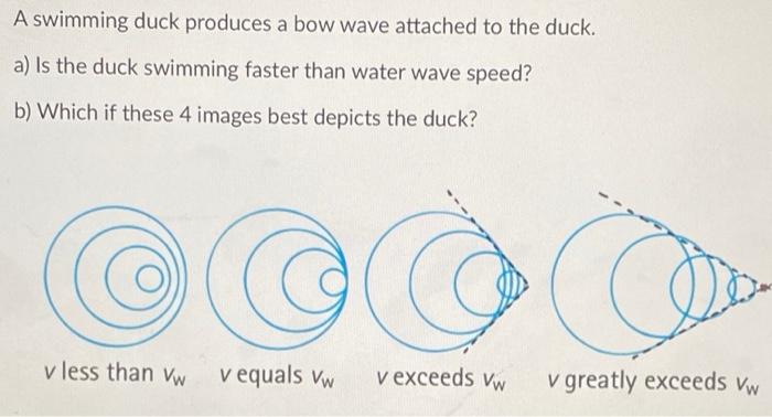 Solved A swimming duck produces a bow wave attached to the | Chegg.com