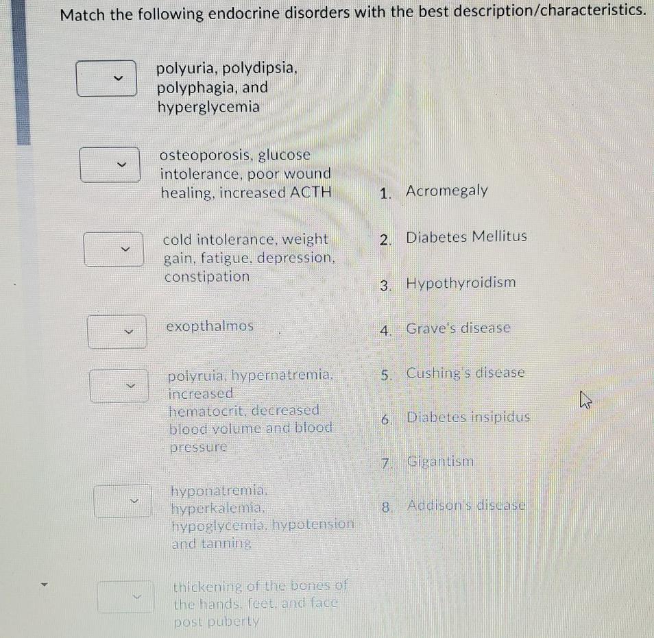 Solved Match the following endocrine disorders with the best | Chegg.com