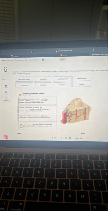 find the sample standard deviation of the HDL levels | Chegg.com