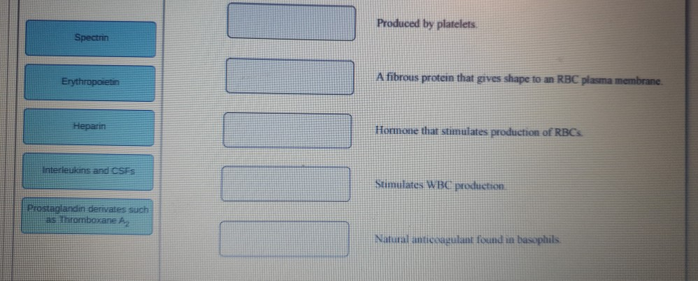 Solved Produced by platelets Spectrin Erythropoietin A | Chegg.com