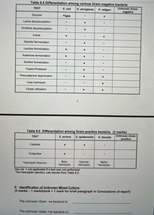 Solved Using the information in the picture below, fill the | Chegg.com