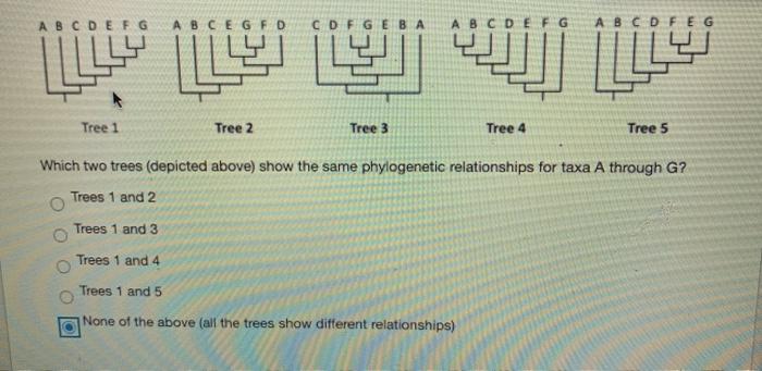 Solved ABCDEFG A B C EGED CDFGEBA BCDEFG 별 Tree 1 Tree 2 | Chegg.com