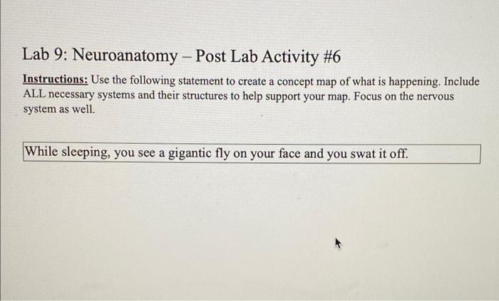 Solved Lab 9: Neuroanatomy - Post Lab Activity #5 | Chegg.com