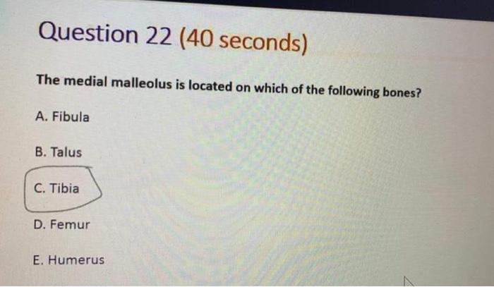 Solved 1) The fovea capitis is located in the center of | Chegg.com