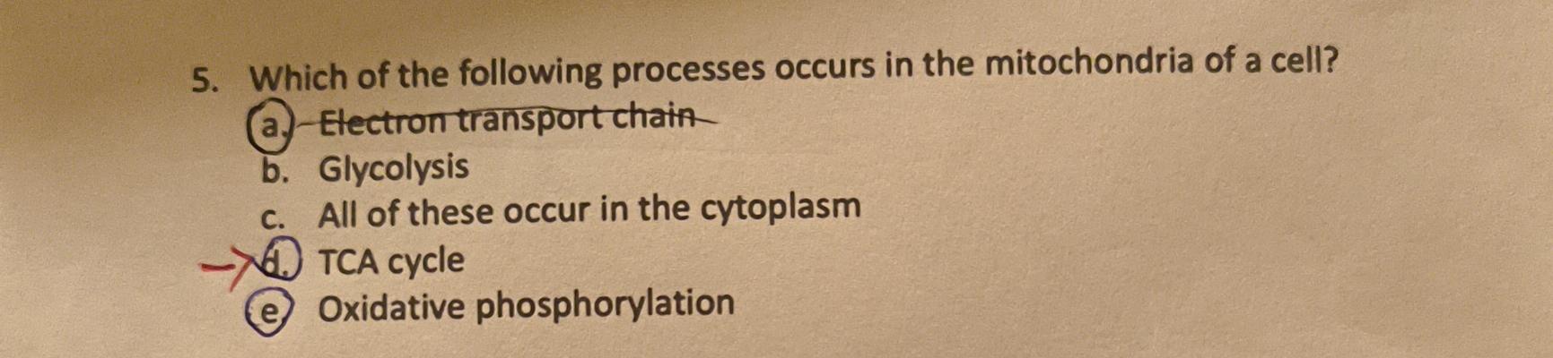 Solved Which of the following processes occurs in the | Chegg.com