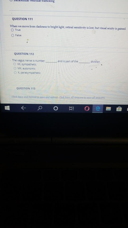 Solved estion Completion Status: QUESTION 113 The layer of | Chegg.com Solved estion Completion Status: QUESTION 113 The layer of | Chegg.com