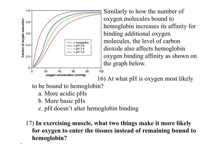 Solved 1.0 0.8- 0.6 fraction of oxygen saturation Similarly | Chegg.com