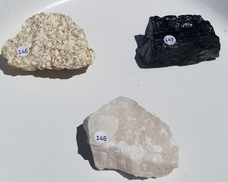 Solved Sedimentary Rocks Identification Assignment. For this | Chegg.com