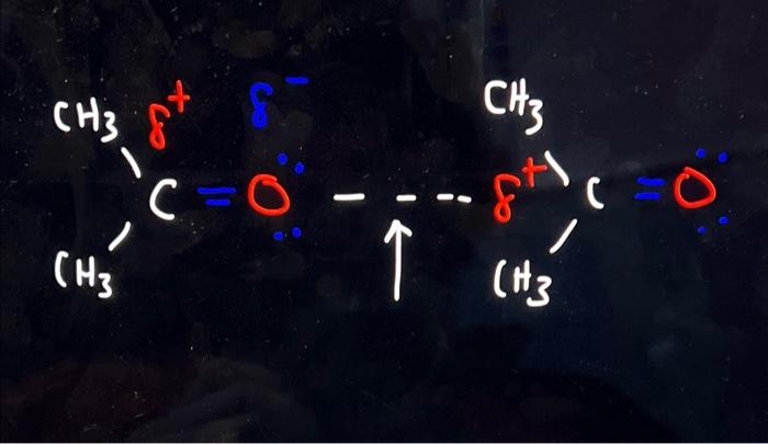 Solved how do you know what is partially positive and | Chegg.com