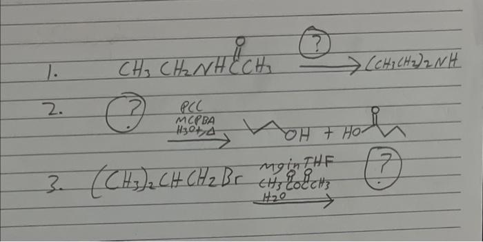 Solved CH3CH2NHCCH3 C (CH3CH2)2NH | Chegg.com