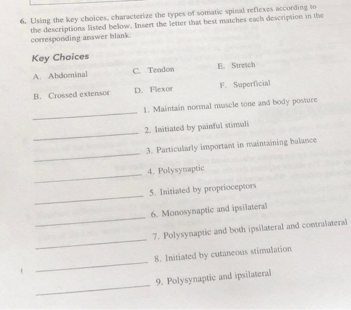Solved 6. Using the key choices, characterize the types of | Chegg.com