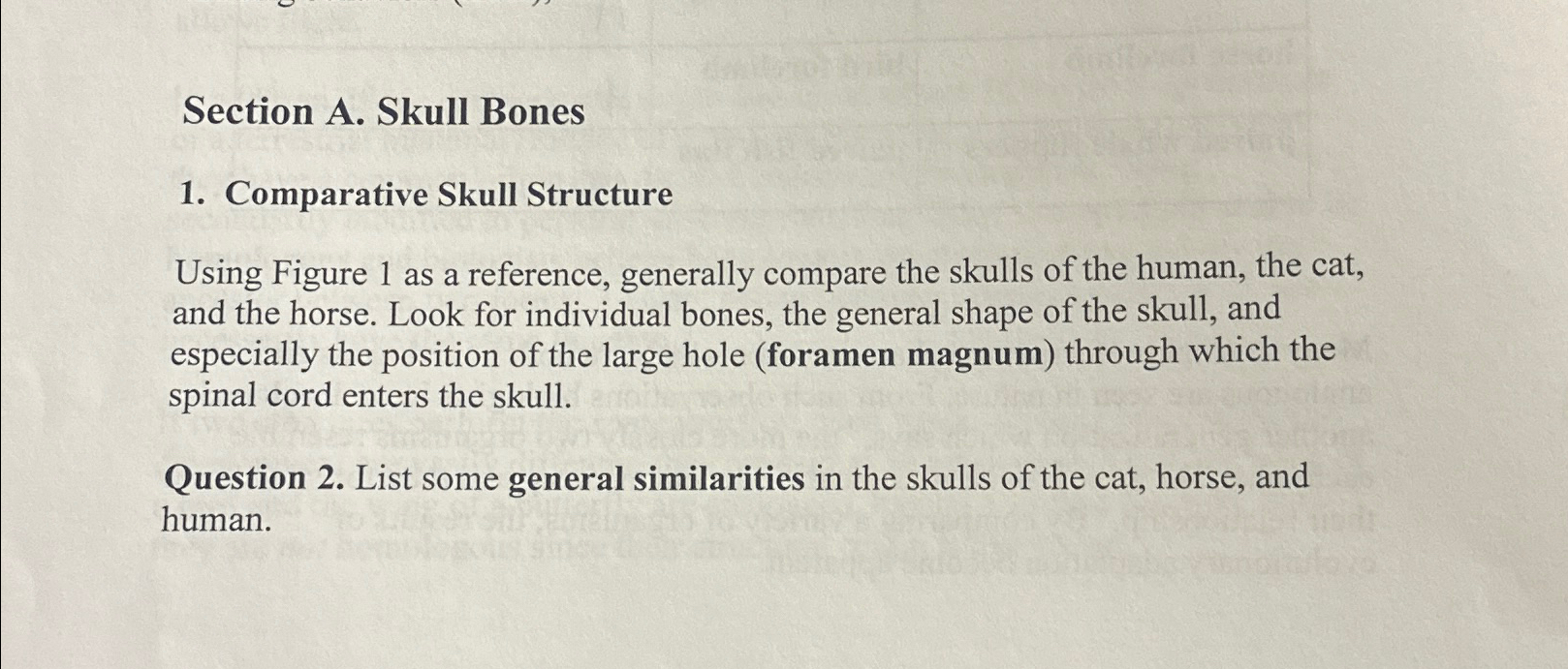 Solved Section A. ﻿Skull BonesComparative Skull | Chegg.com