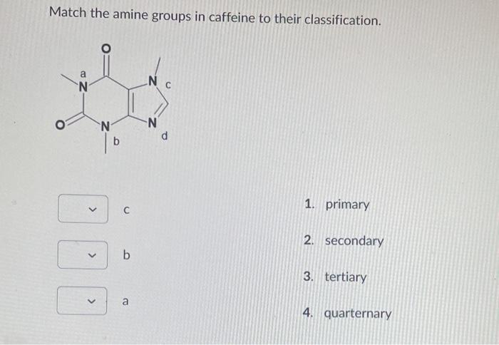 Solved Match the amine groups in caffeine to their | Chegg.com