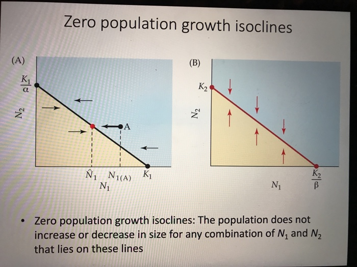 Ecology 303 Isocline exercise Name ENV 303 Isocline | Chegg.com