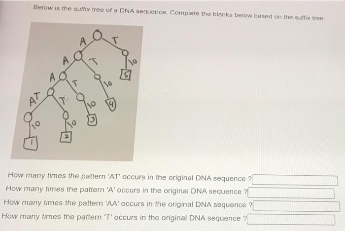 Solved Below is the suffix tree of a DNA sequence. Complete | Chegg.com