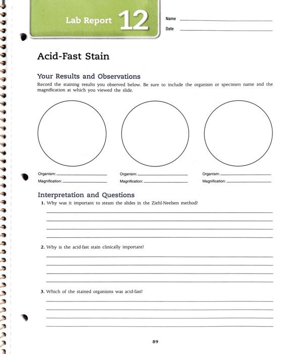 Solved Lab Report 12 12 Name Date Acid-Fast Stain Your | Chegg.com