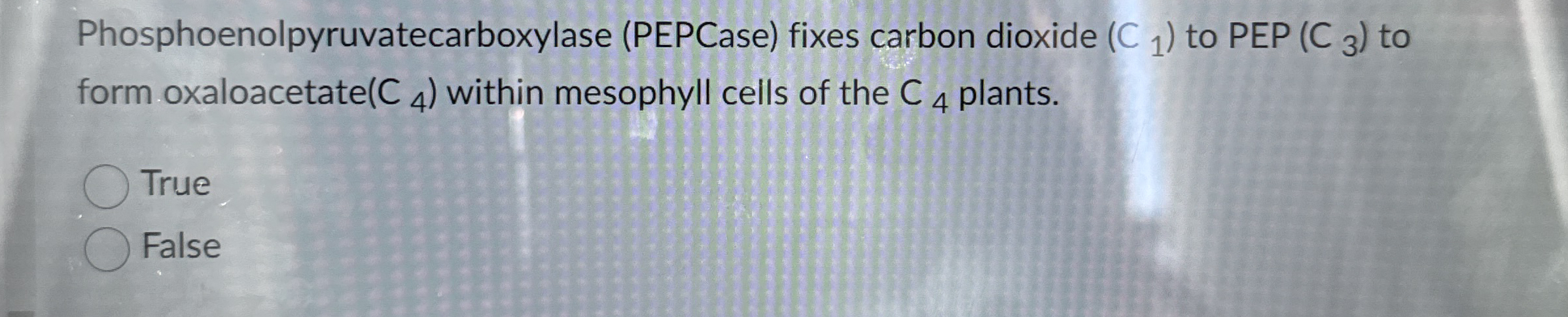 High Quality SOLUTION Phosphoenolpyruvatecarboxylase (PEPCase) ﻿fixes | Chegg.com
