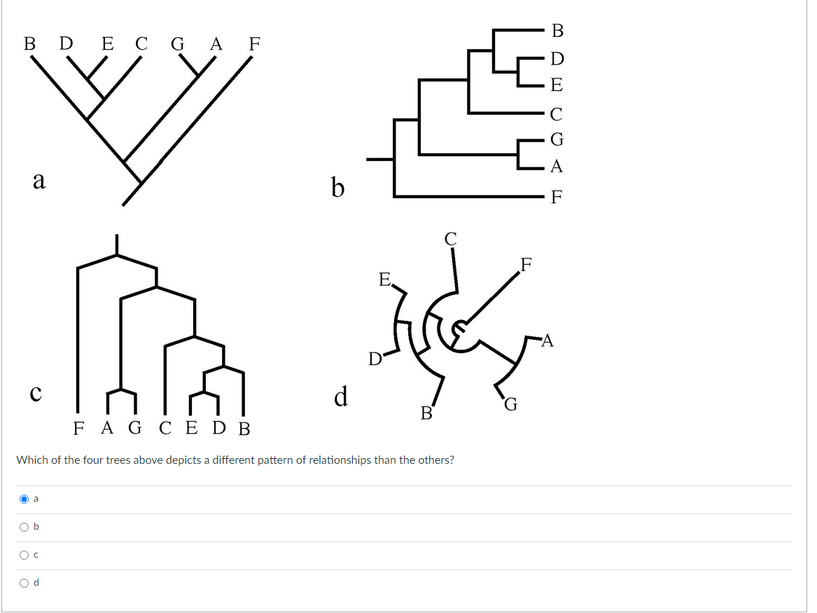 Solved Which of the four trees above depicts a different | Chegg.com