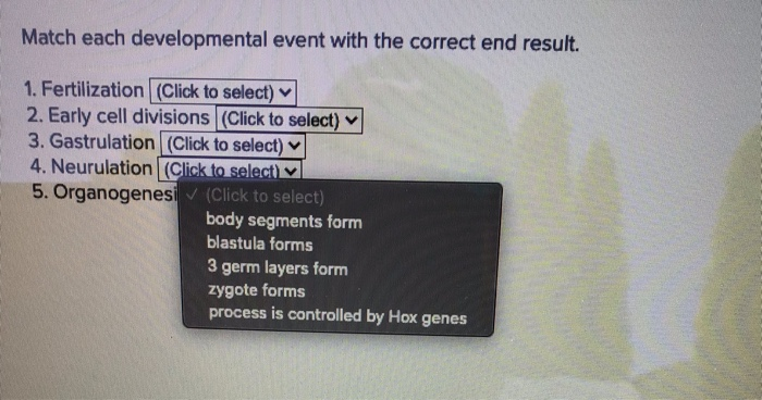 Solved Match each developmental event with the correct end | Chegg.com