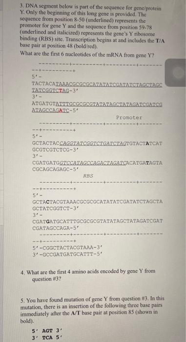 Solved Transcription/Translation Practice Worksheet 1. Below | Chegg.com