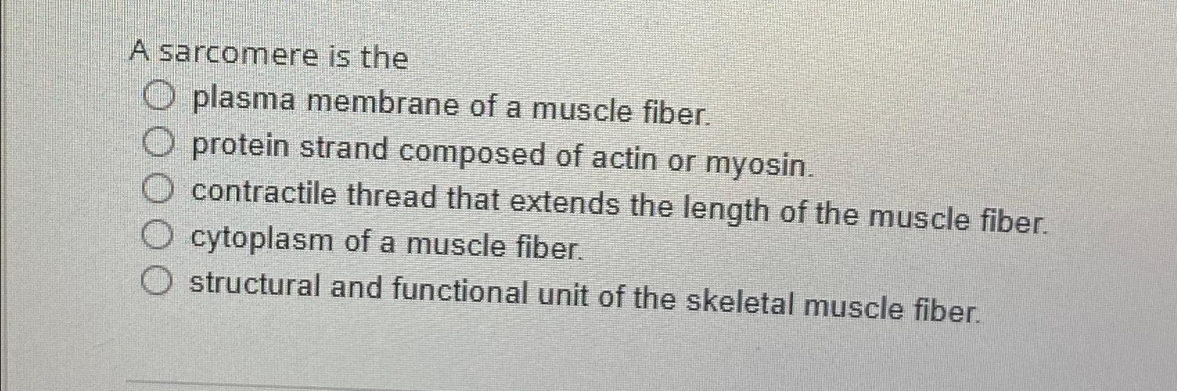 Solved A sarcomere is theplasma membrane of a muscle | Chegg.com