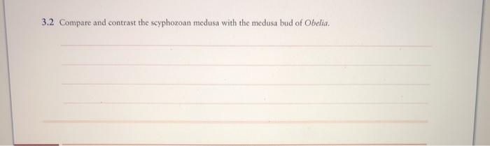 Solved 3.2 Compare and contrast the scyphozoan medusa with | Chegg.com