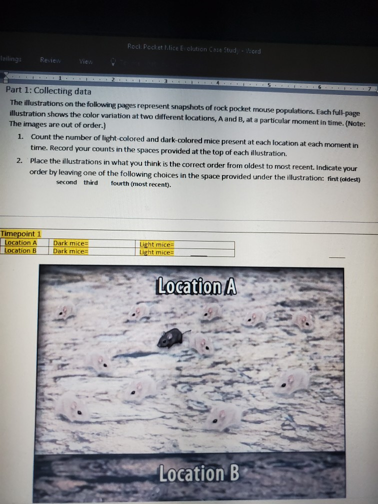 Rock Pocket Mice Evolution Case Study - Word rences | Chegg.com