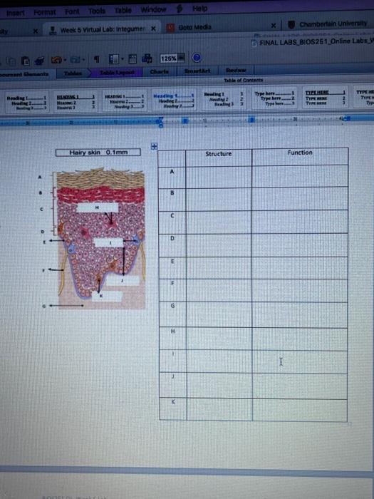 Solved Format Font Tools Table Window Help X Doto Media | Chegg.com