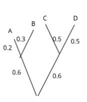 Write the following phylogeny in Newick format. | Chegg.com