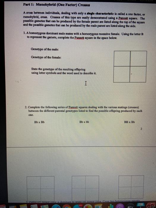 Solved Part 1: Monohybrid (One Factor) Crosses A cross | Chegg.com