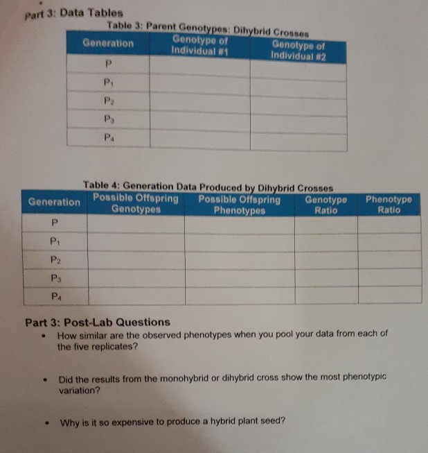 Part 3: Data Tables Table 3: Parent Genotypes: | Chegg.com