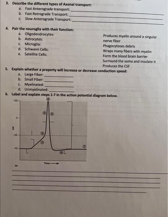 Solved 3. Describe the different types of Axonal transport: | Chegg.com