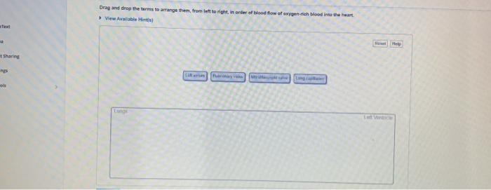Solved Drag and drop the terms to arrange them from left to | Chegg.com