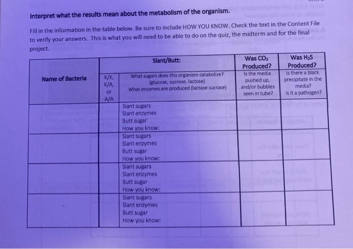 Unit 8 Triple Sugar Iron (TSI Tube Inoculations You | Chegg.com