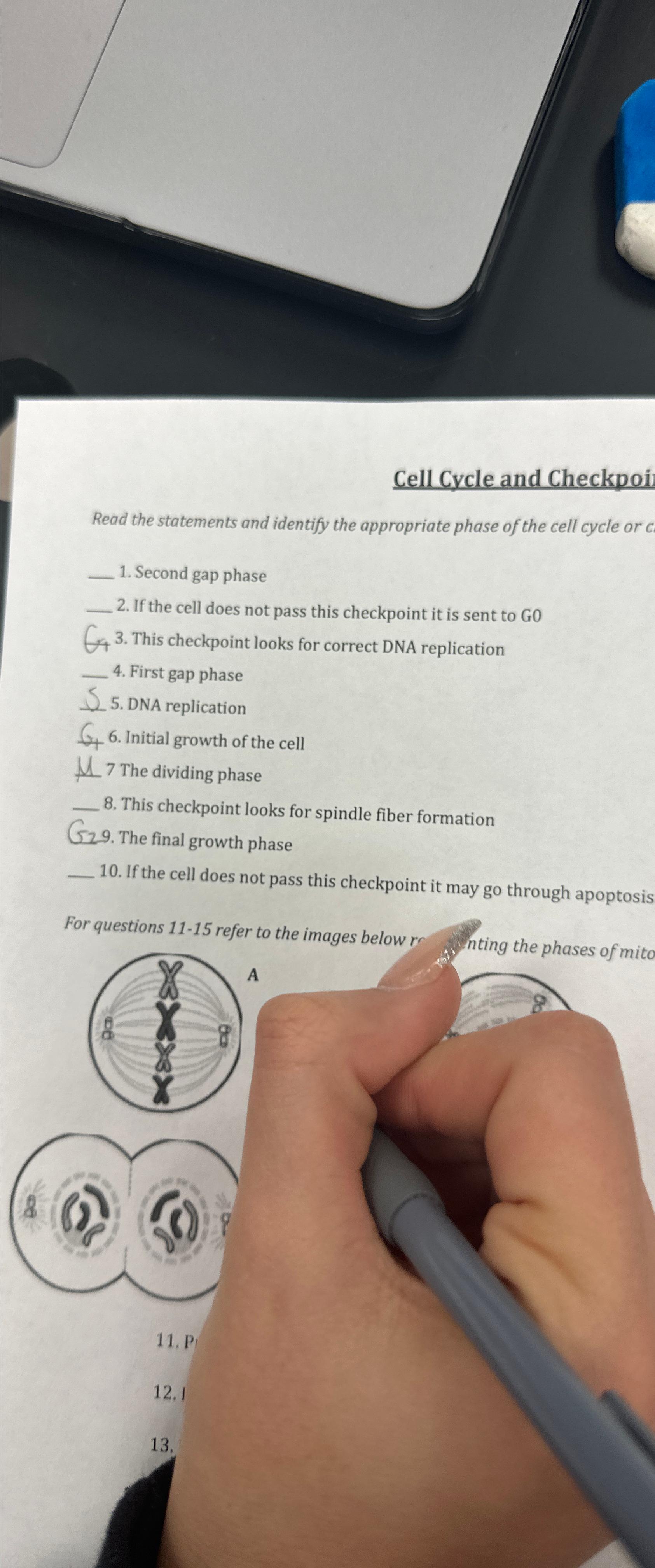 Solved Cell Cycle and CheckpoiRead the statements and | Chegg.com