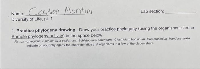 Solved 1. Practice phylogeny drawing. Draw your practice | Chegg.com