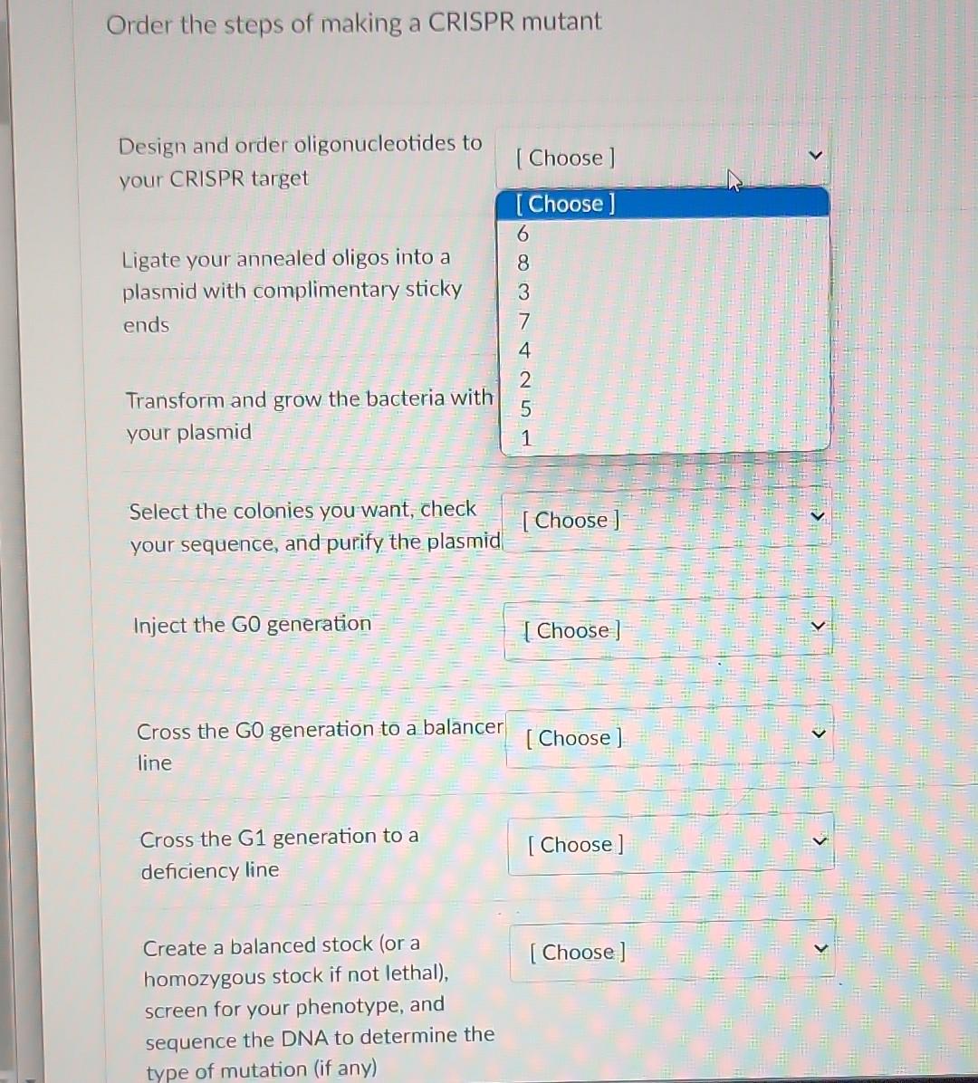 Solved Order the steps of making a CRISPR mutant Design and | Chegg.com
