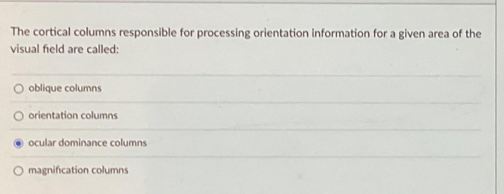 Solved The cortical columns responsible for processing | Chegg.com