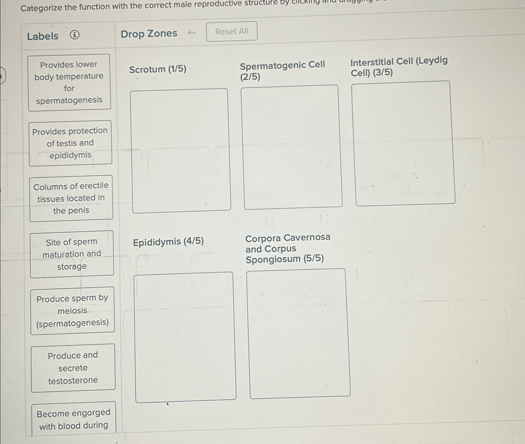 Solved Categorize the function with the correct male | Chegg.com