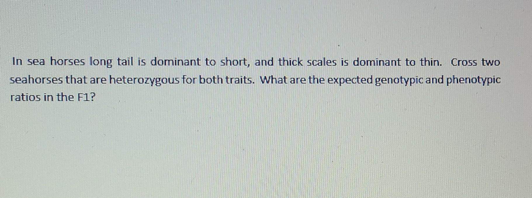 Solved 1. In alligators, rounded snout is dominant to a | Chegg.com