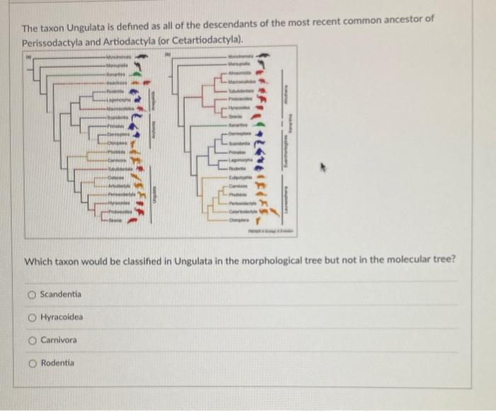 The taxon Ungulata is defined as all of the | Chegg.com