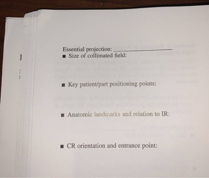 Anatomic landmarks and relation to IR: CHAPTER 5: | Chegg.com