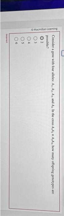 Solved Consider a gene with four alleles: A1,A2,A3, and A4. | Chegg.com