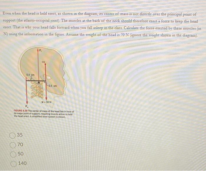 Solved Even when the head is held erect, as shown in the | Chegg.com